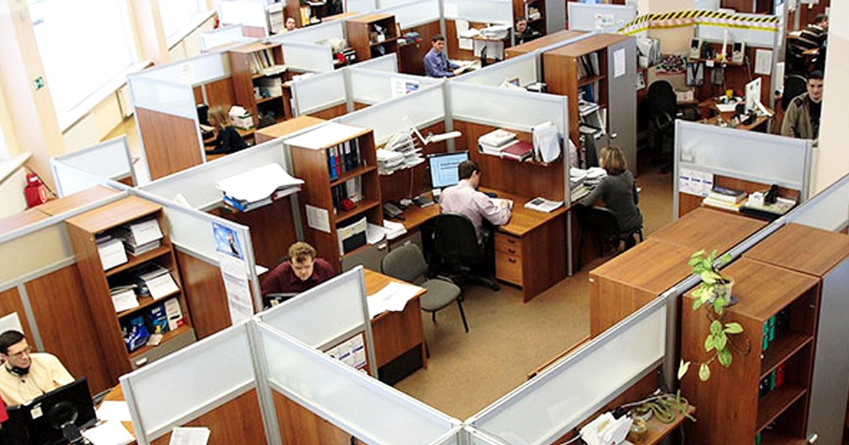 Singapore Office Landscaping - IT Office Relocation Singapore